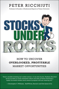 Stocks Under Rocks 1st edition | 9780133399097, 9780133399127 | VitalSource