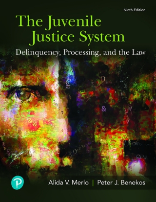 The Juvenile Justice System: Delinquency, Processing, and the Law ...
