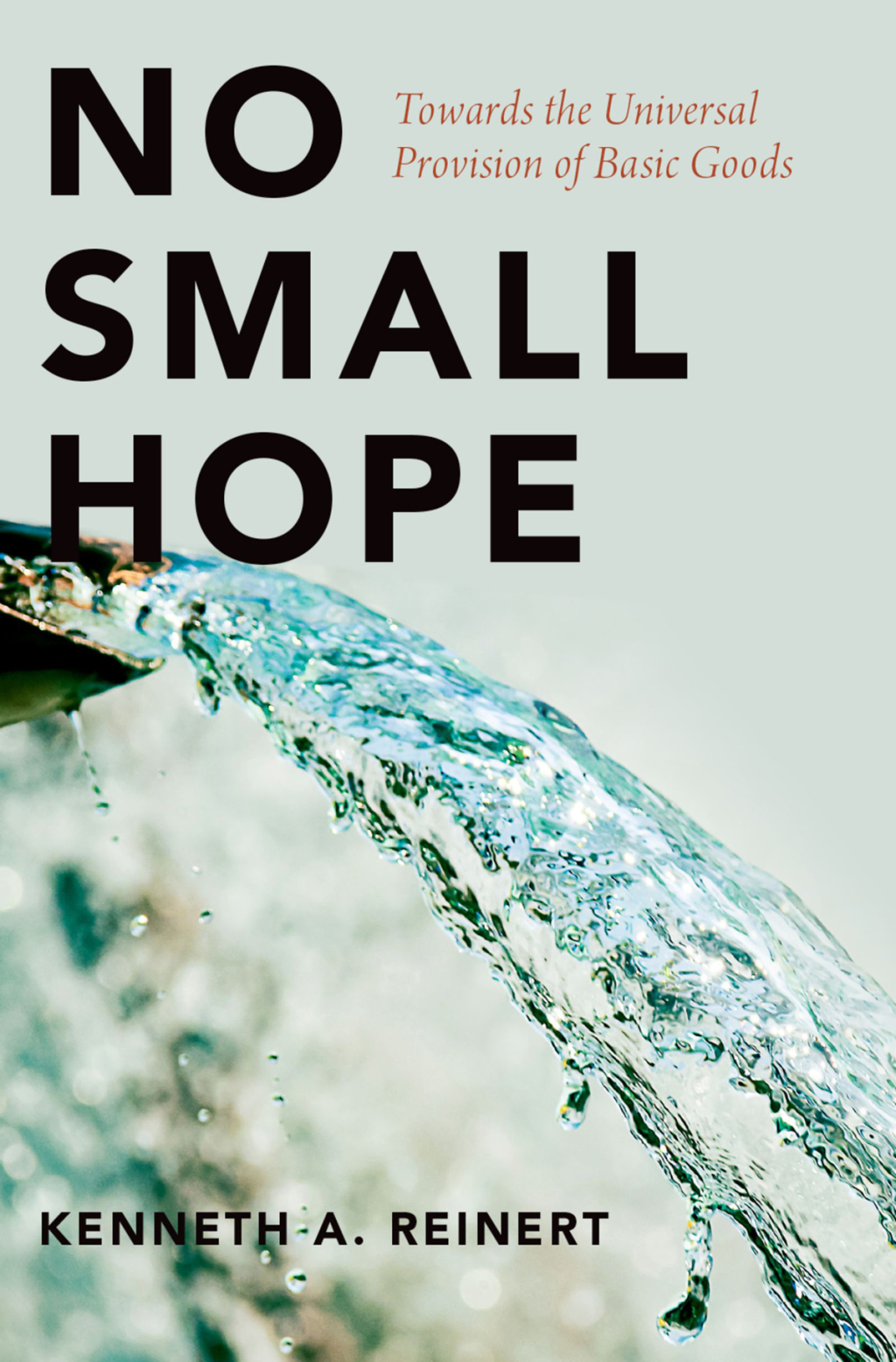 ISBN 9780190499440 - No Small Hope : Towards the Universal Provision of ...