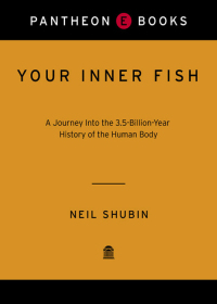 Your Inner Fish | 9780307277459, 9780307377166 | VitalSource
