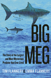 Big Meg | 9780802162588, 9780802162595 | VitalSource