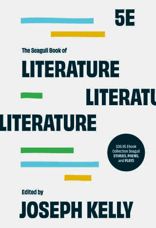 The Seagull Book of Literature 5th edition | 9780393892994 ...