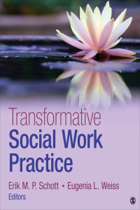 Transformative Social Work Practice 1st edition | 9781483359632 ...