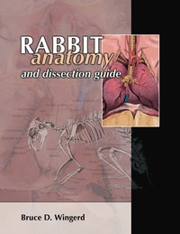 Rabbit Anatomy & Dissection Guide 1st edition | 9781599840383 ...