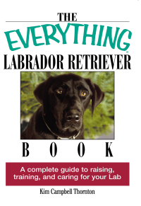 The Everything Labrador Retriever Book 2nd edition | 9781593370480 ...