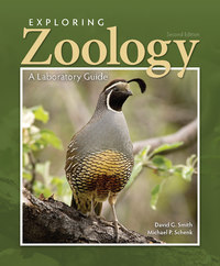 Exploring Zoology: A Laboratory Guide 2nd edition | 9781617311567 ...
