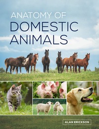 Anatomy of Domestic Animals 1st edition | 9781599846129, 9781681356167 ...